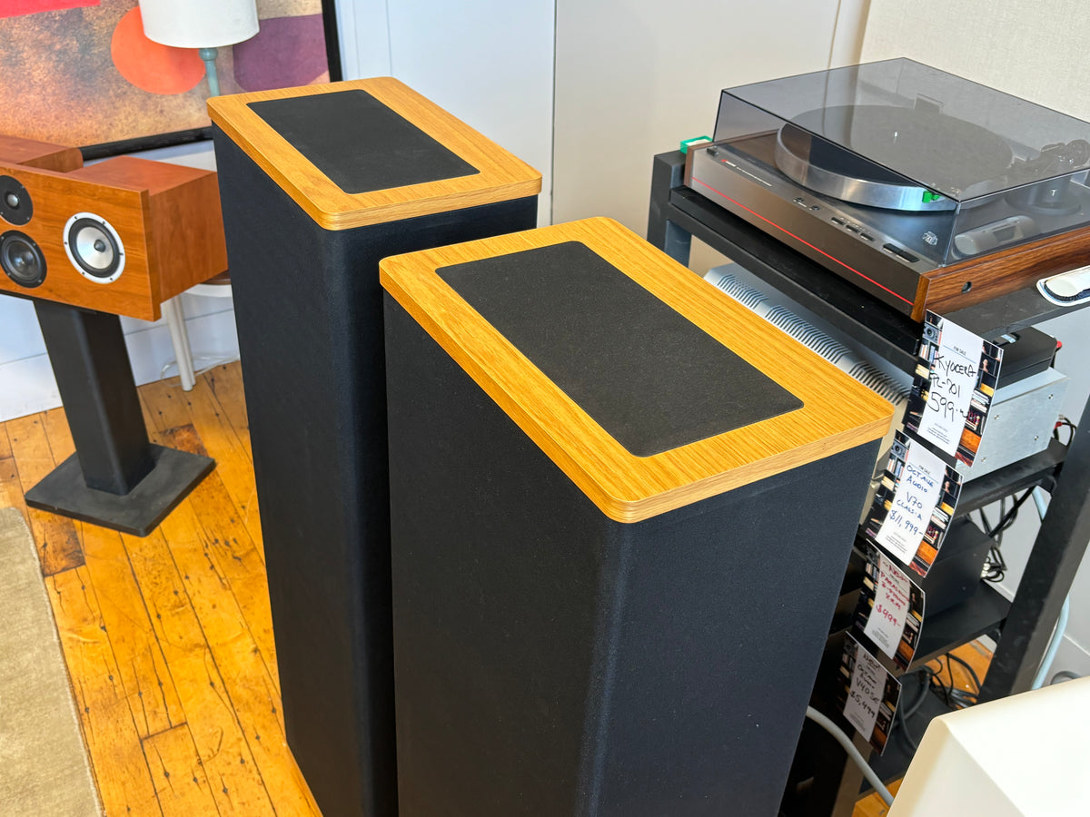 Vandersteen Model 3A Signature - Glorious Full Range Monoliths – Holt ...