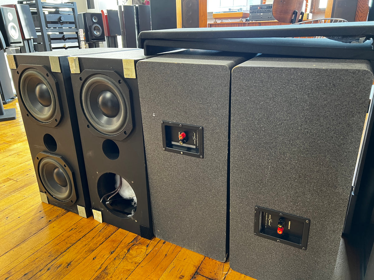 Apogee Acoustics Stage Subwoofers & DAX Crossover - SOLD – Holt Hill Audio